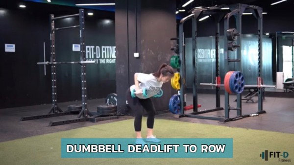 ท่าออกกำลังกาย Dumbbell Deadlift to Row | วิธีทำท่าออกกำลังกาย Dumbbell ...