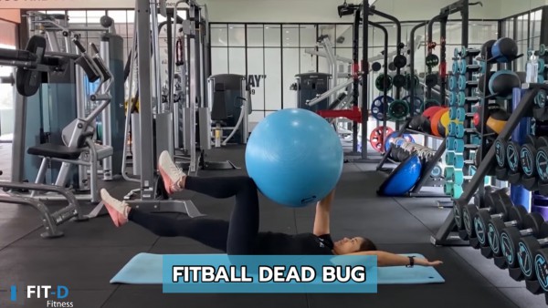 ท่าออกกำลังกาย Fitball Deag Bug | วิธีทำท่าออกกำลังกาย Fitball Deag Bug ...