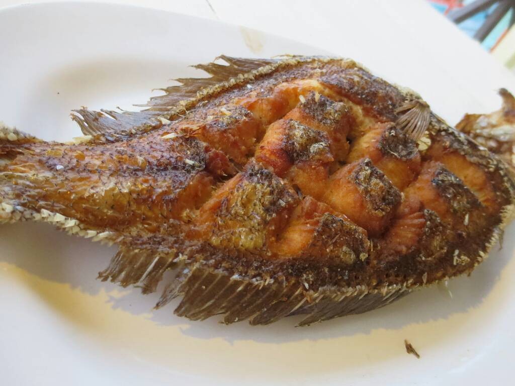 ค้นหาแคลอรี่ ปลาตาเดียวทอด- - Fit-d.com